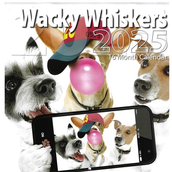 Office | 225 Wall Calendar Wacky Whiskers Animal 12x24 New | Poshmark